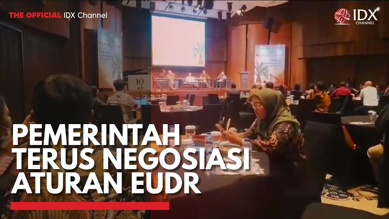 Pemerintah Terus Negosiasi Aturan EUDR | IDX CHANNEL - YouTube