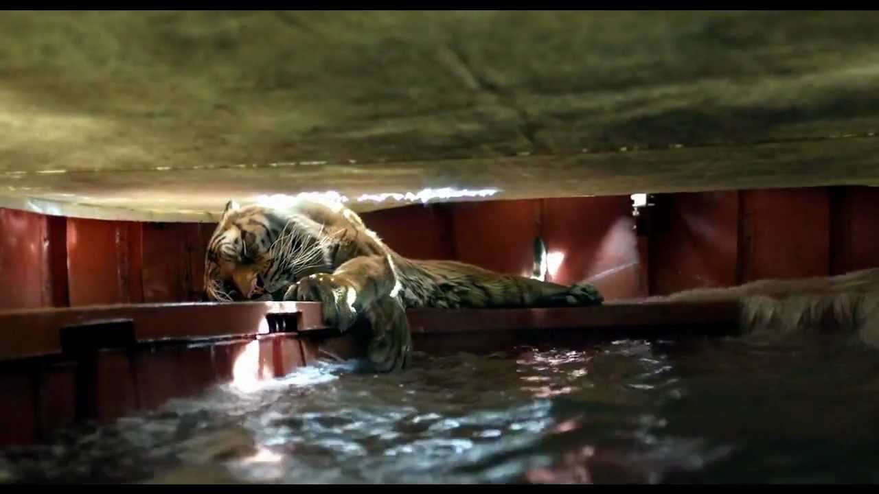 LIFE of PI [Tribute] - YouTube