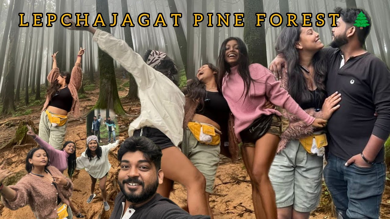 Lepchajagat Pine Forest Complete Tour Guide 2023 | Offbeat Destination ...