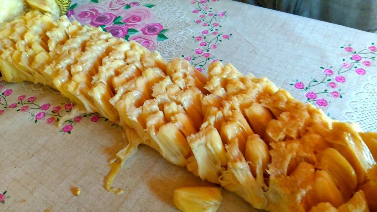 como abrir uma jaca de modo prático e sem grudar na mão. - YouTube
