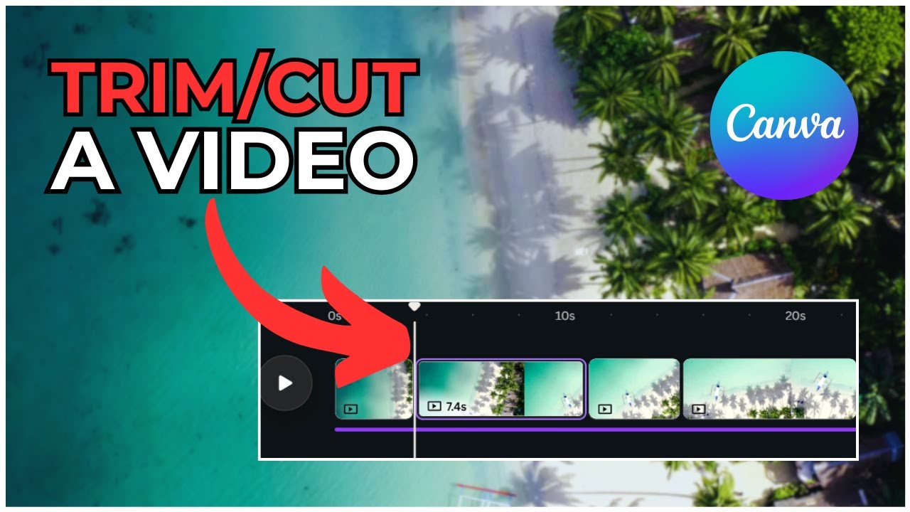 How to Trim or Cut a Video in Canva - YouTube