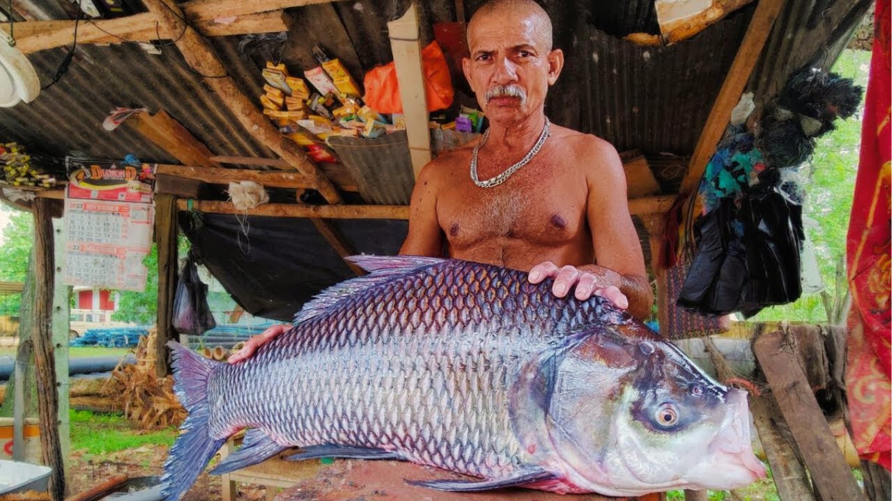 Cutting a massive 28kg Catla fish - How to cut a big Catla fish - YouTube