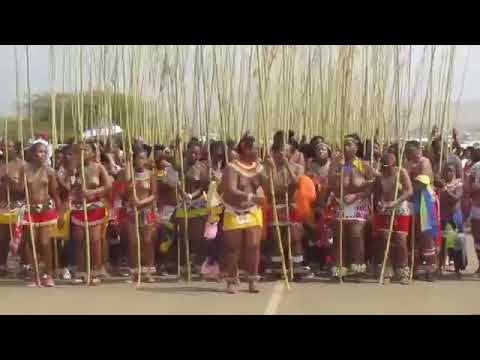 Virgin Cultural Ceremony in Zulu. Subscribe for more videos like this ...