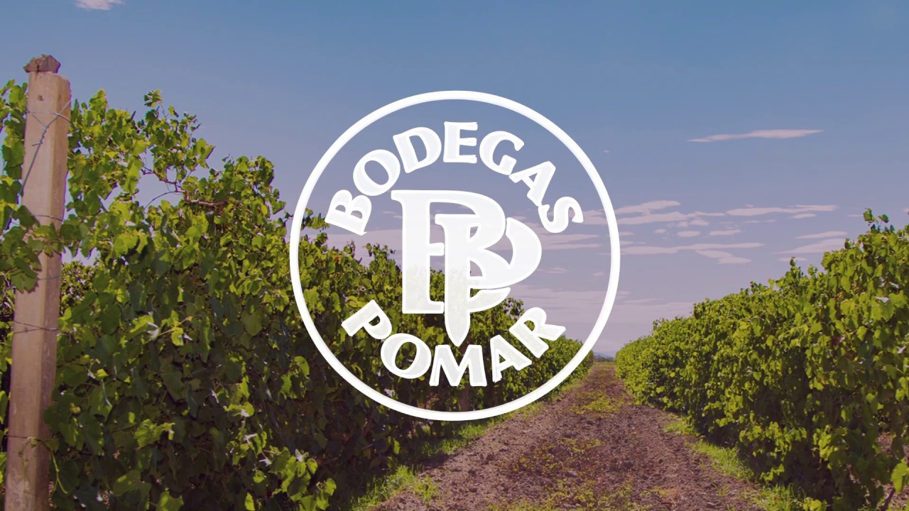 ¡Conoce el portafolio de Bodegas Pomar! - YouTube