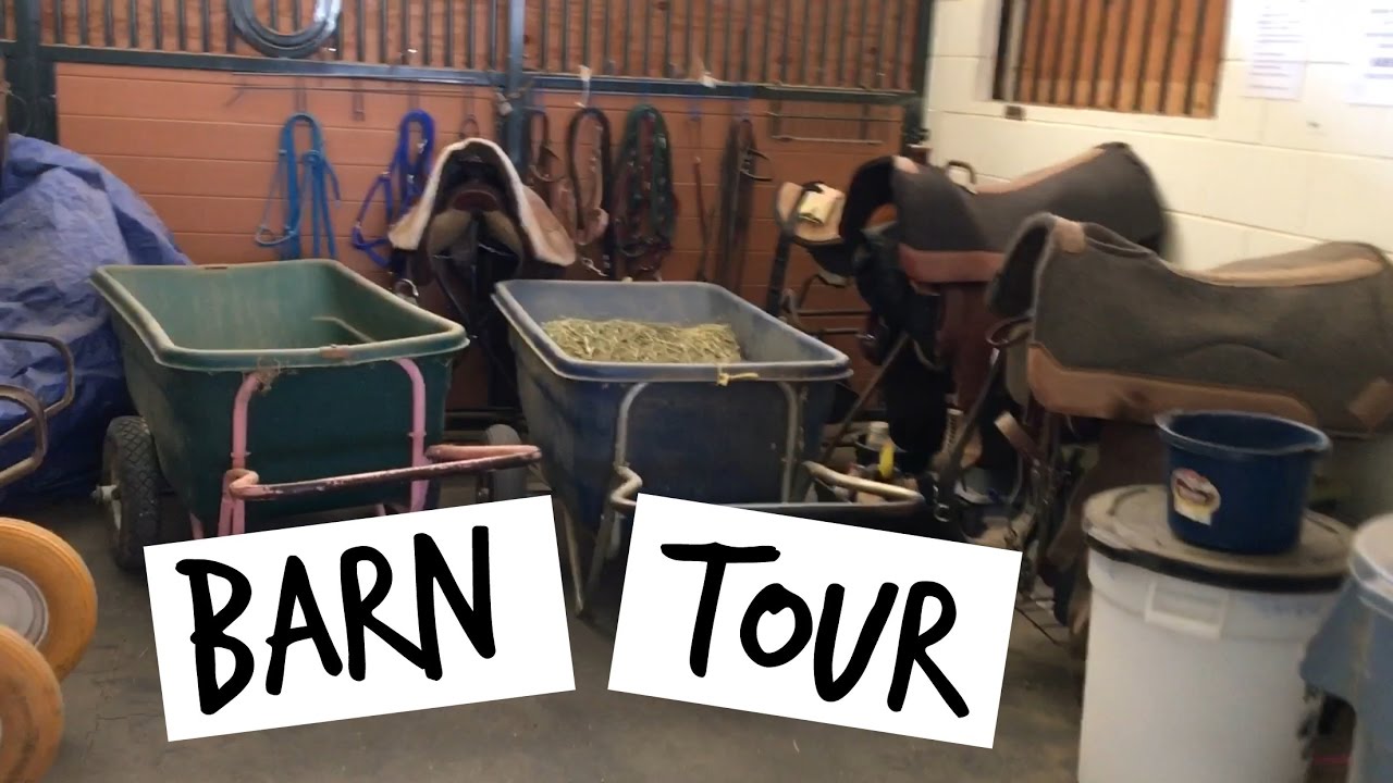 BARN TOUR & Daily chores routine! - YouTube