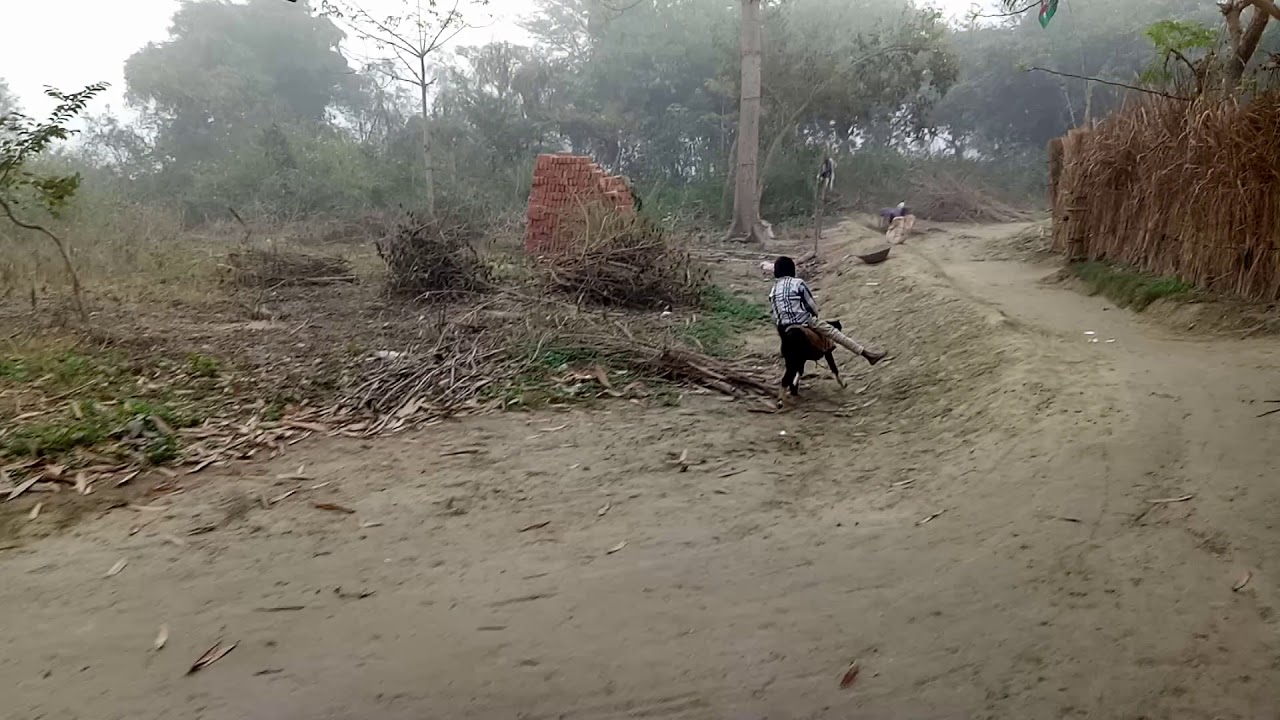 Funny video siwan - YouTube