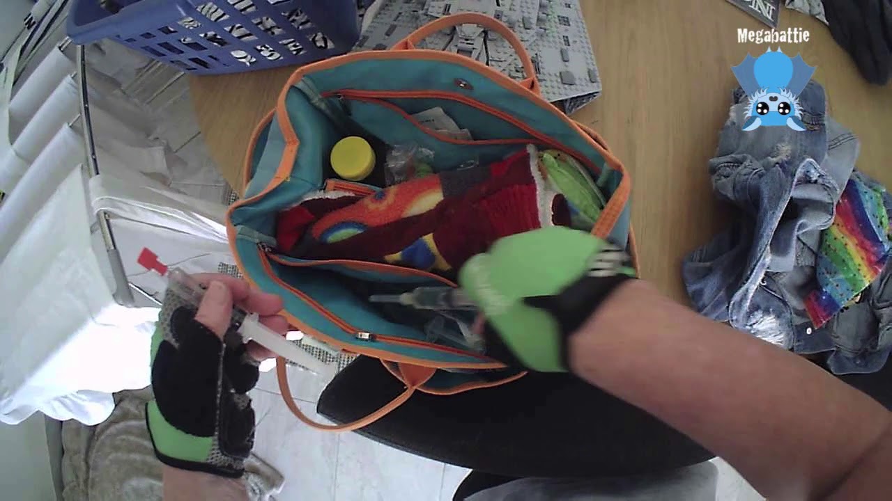 Rescuing a baby bat found on the road: this is Tinsel - YouTube