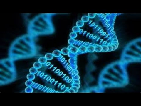 Gariaev Matrix Rejuvenating Healing Regeneration of All Organs - YouTube
