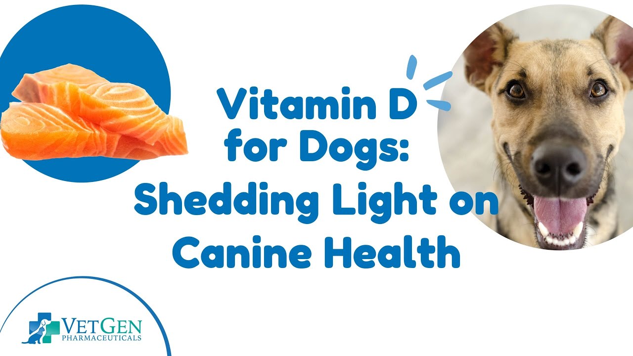 Vitamin D for Dogs - Shedding Light on Canine Health #VitDForDogs # ...