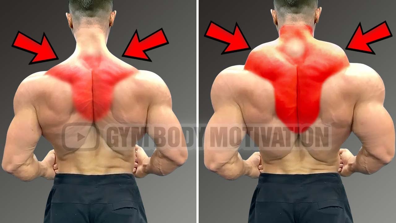 Massive Traps Workout – 6 Shrug Variations for Next Level Size - YouTube