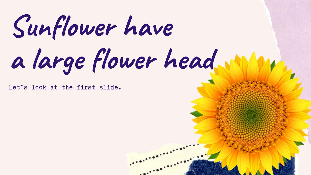 Report text: Sun flower - YouTube