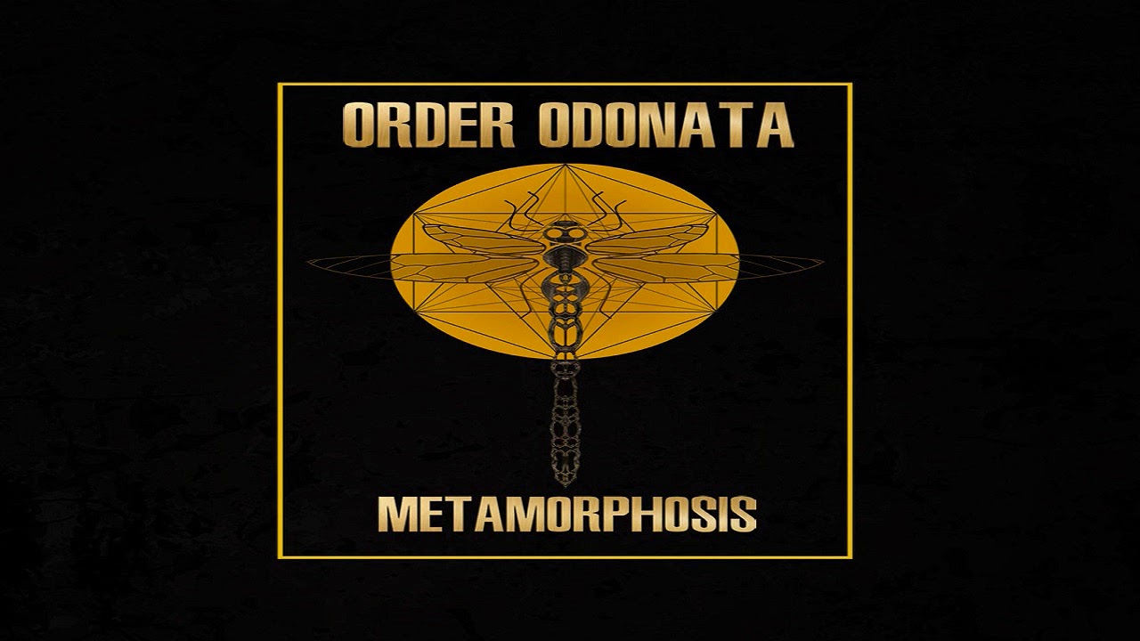 Various Artists - Order Odonata - Metamorphosis [Full Album] ᴴᴰ - YouTube