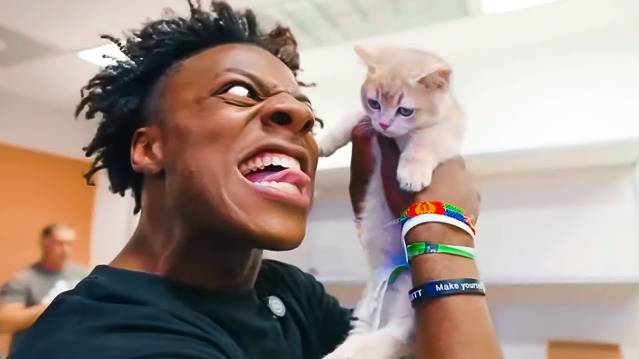 iShowSpeed Adopts A New Cat! - YouTube