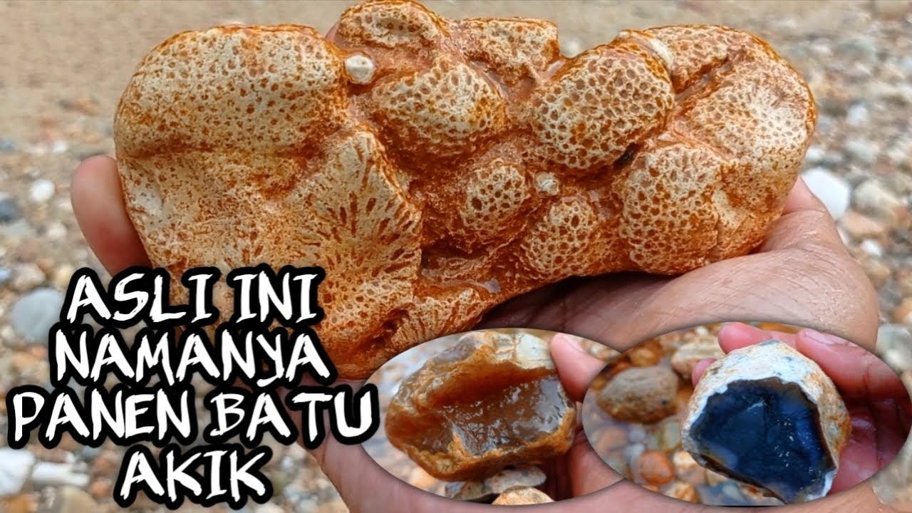 ASLI!!! INI NAMANYA PANEN BATU AKIK, SUNGAI YANG JERNIH BANYAK ...