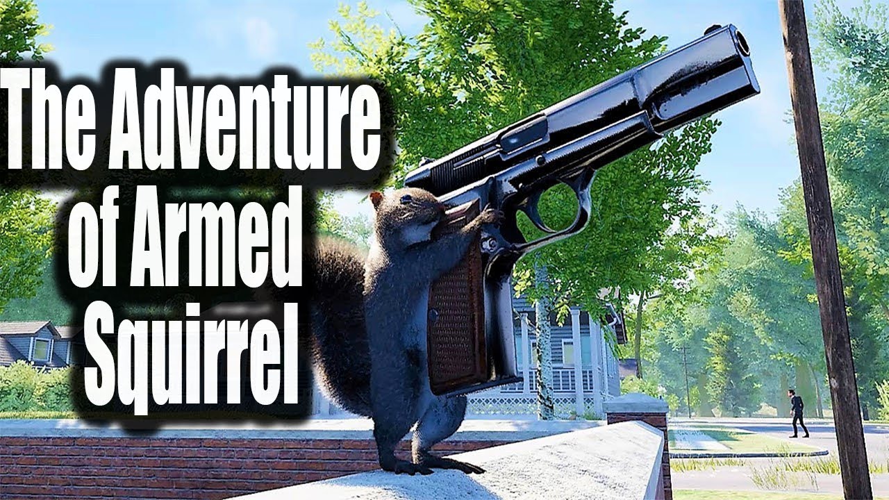 The Adventures Of Armed Squirrel: Pt 1 Squirrel With a Gun - YouTube