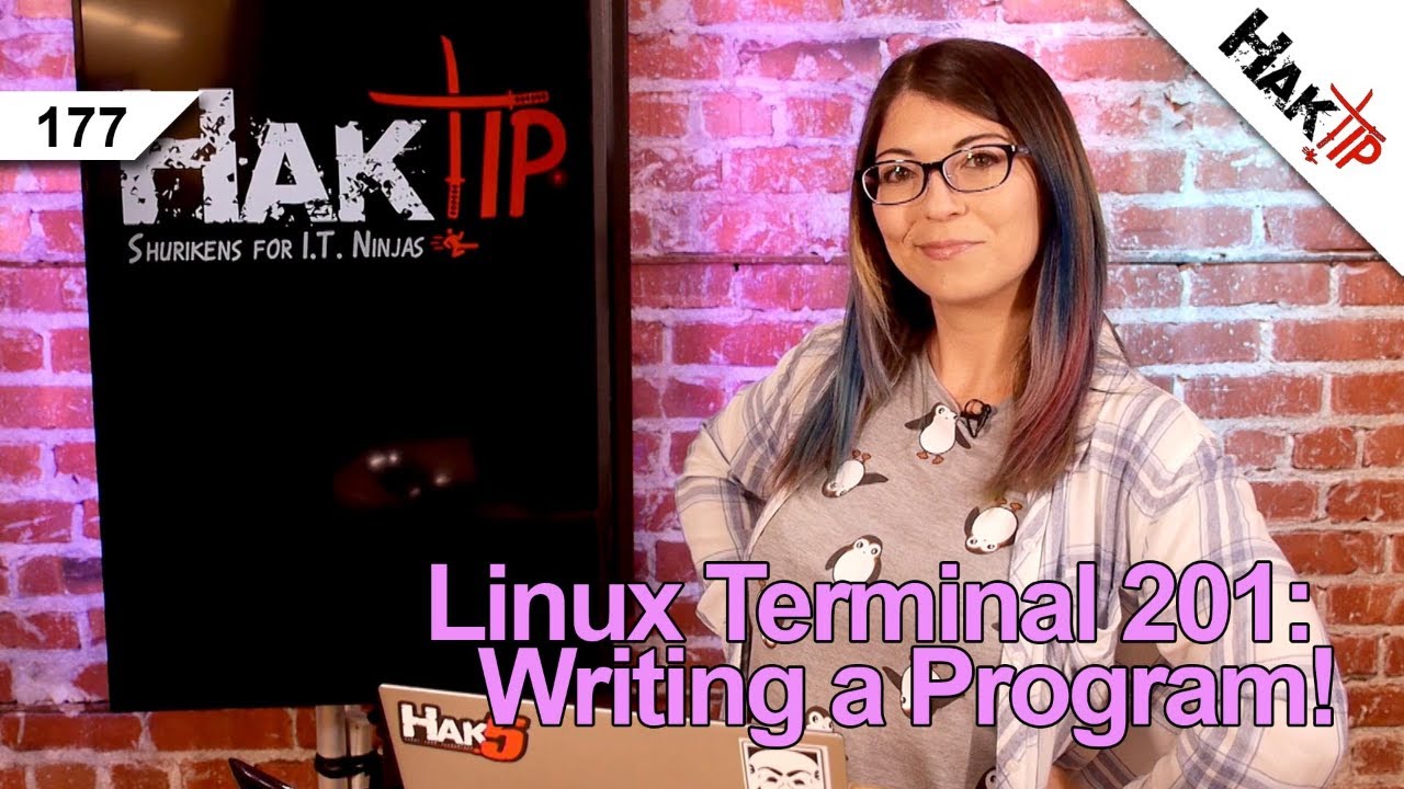 Building A Program With Shell Scripting Linux Terminal 201 Haktip