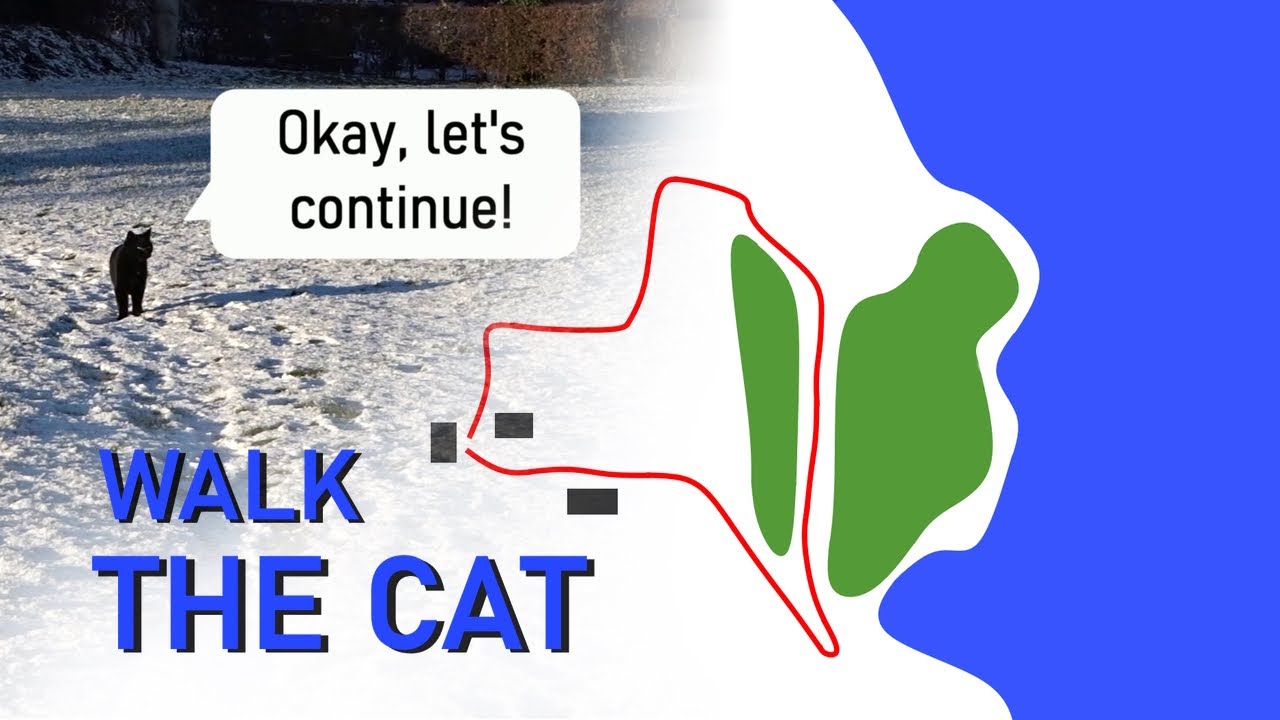 Walking the cat - Martin is your guide! - YouTube