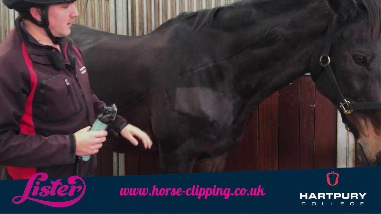 Trace Clip - The Body - YouTube