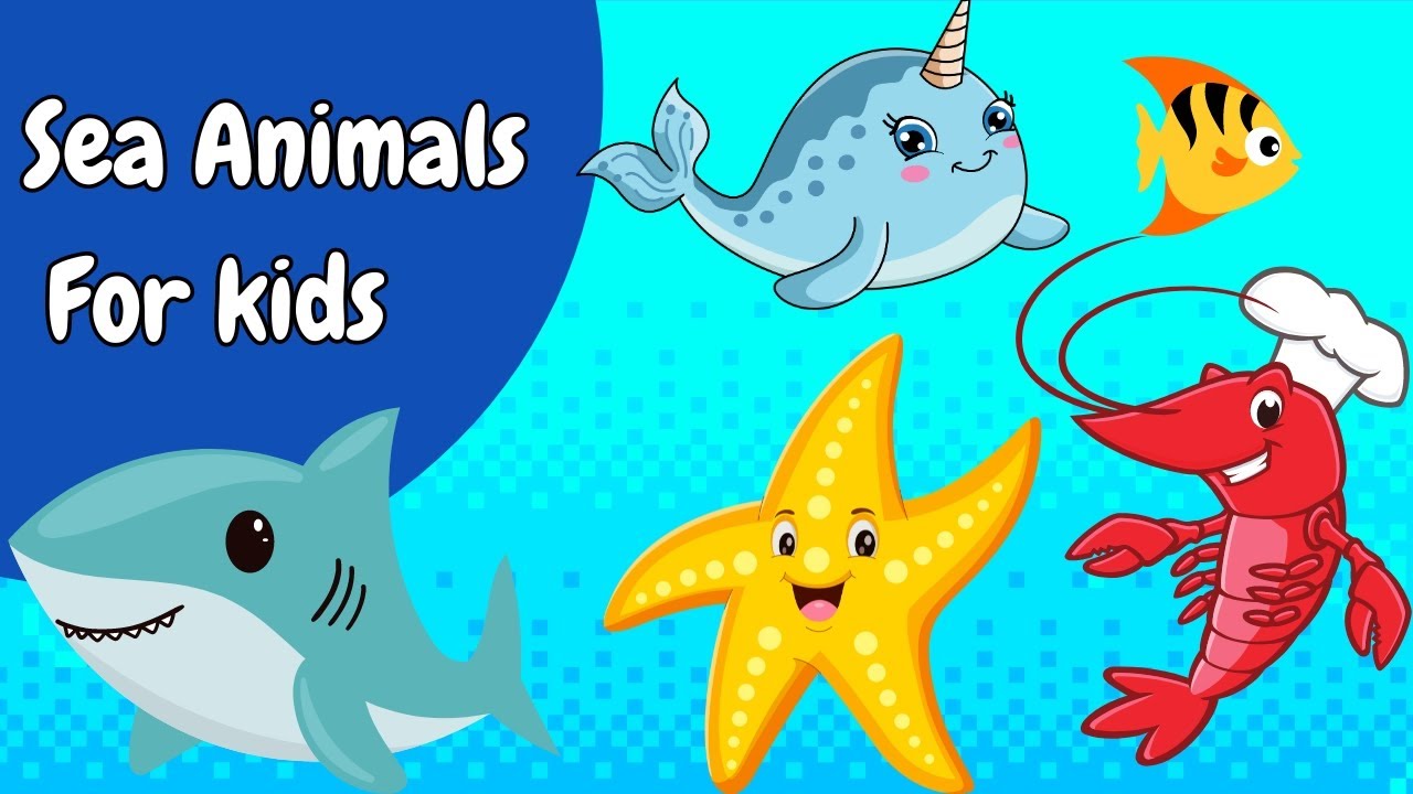 water animals for toddlers|Water animals|ocean animals for kids| sea ...