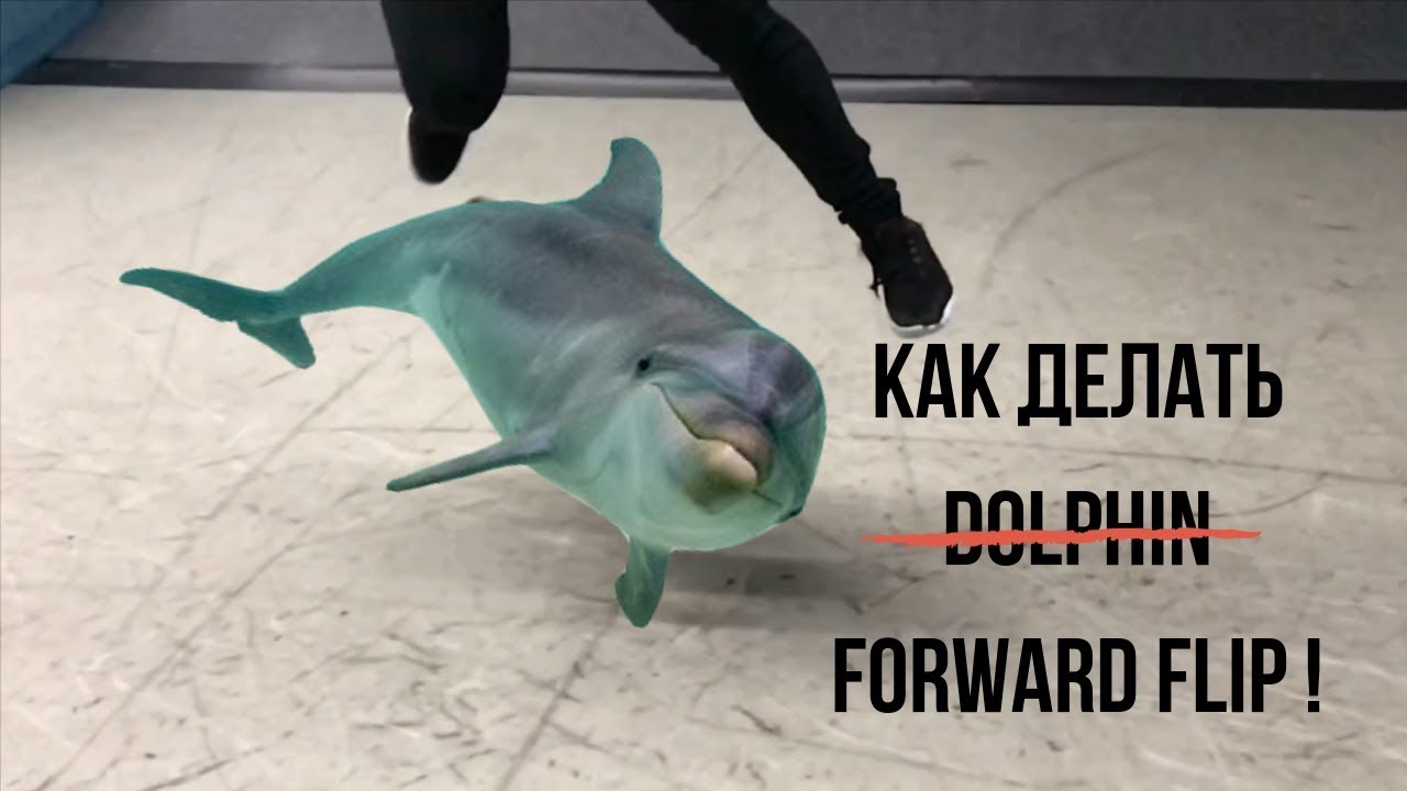 Как делать форвард флип! How to forward flip (dolphin flip) - YouTube