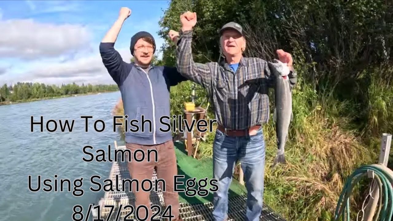 How To Fish Silvers Salmon Using Salmon Eggs Alaska Kenai River - YouTube