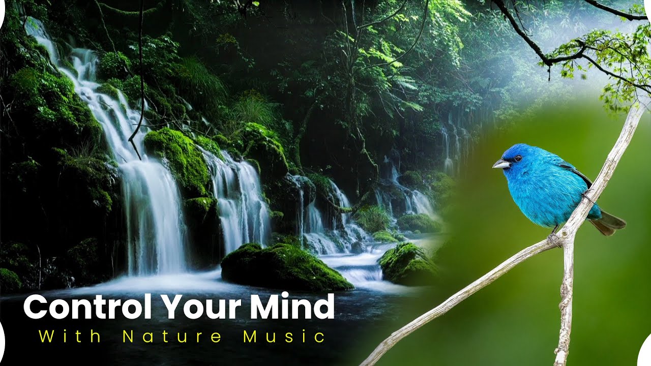 3 Minutes Beautiful Relaxing Music with Nature - Relex your Mind ...