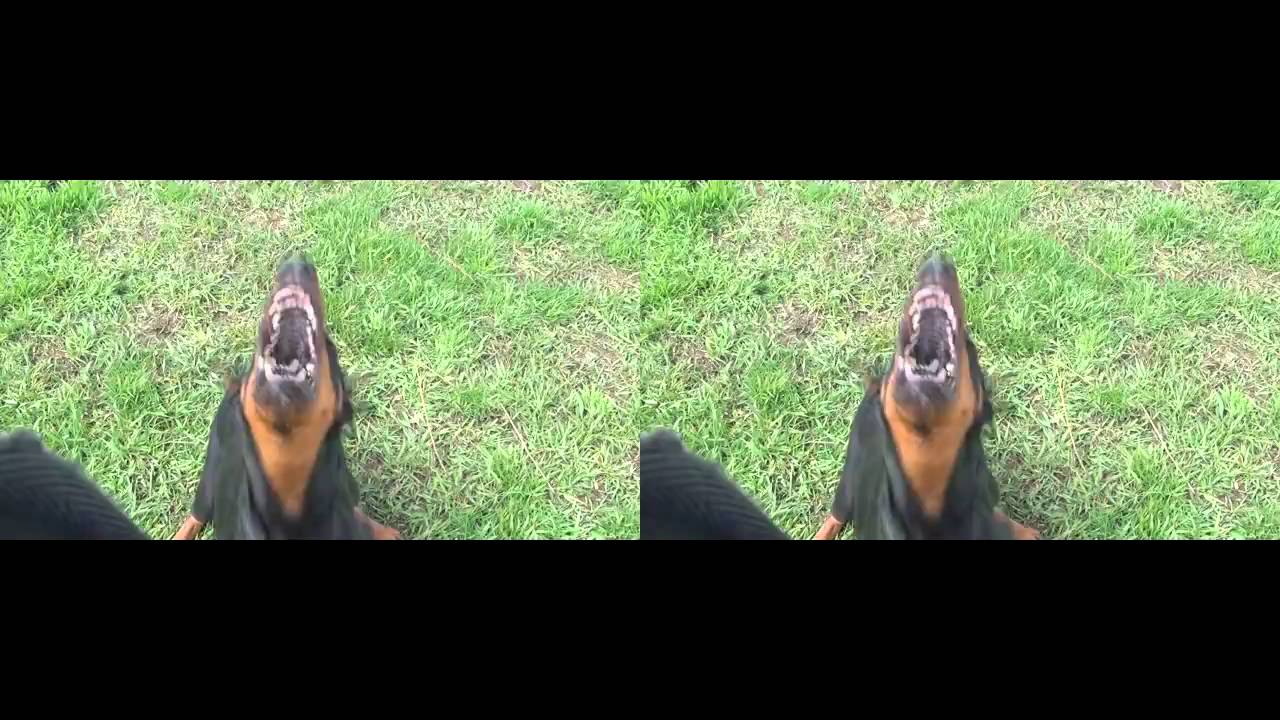 3d Doberman Bite work - YouTube