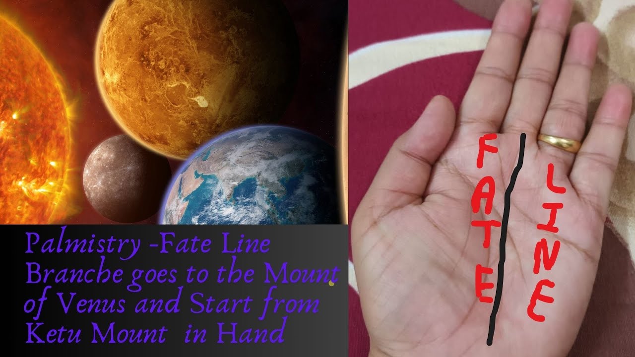 #Palmistry - What happened when Fate Line Branches goes to the Mount of ...