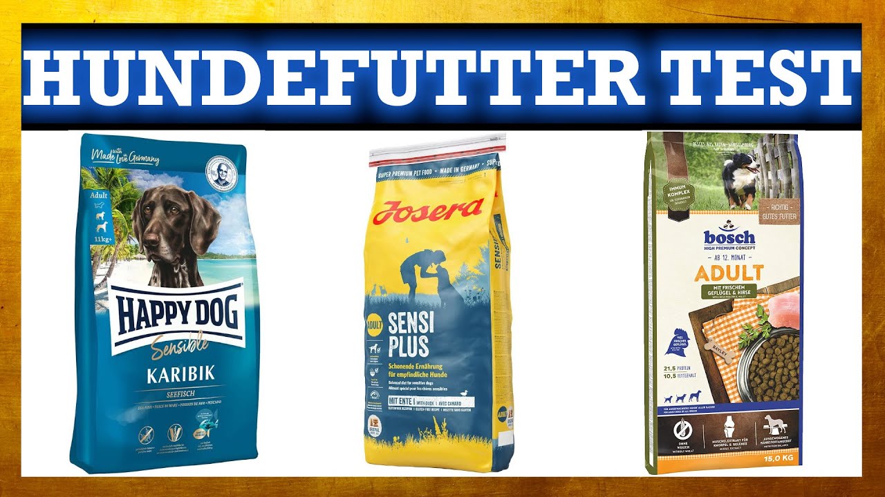 Hundefutter Test 2023 TOP 3 Hundefutter in einem Video - YouTube
