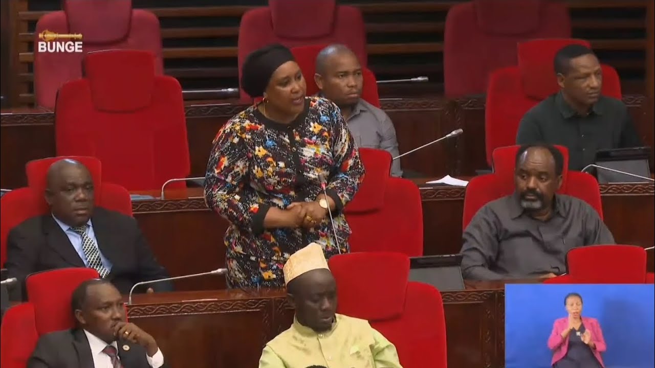 MBUNGE FURAHA MATONDO AHOJI MPANGO WA SERIKALI KUTOA MAFUNZO KWA VIJANA ...