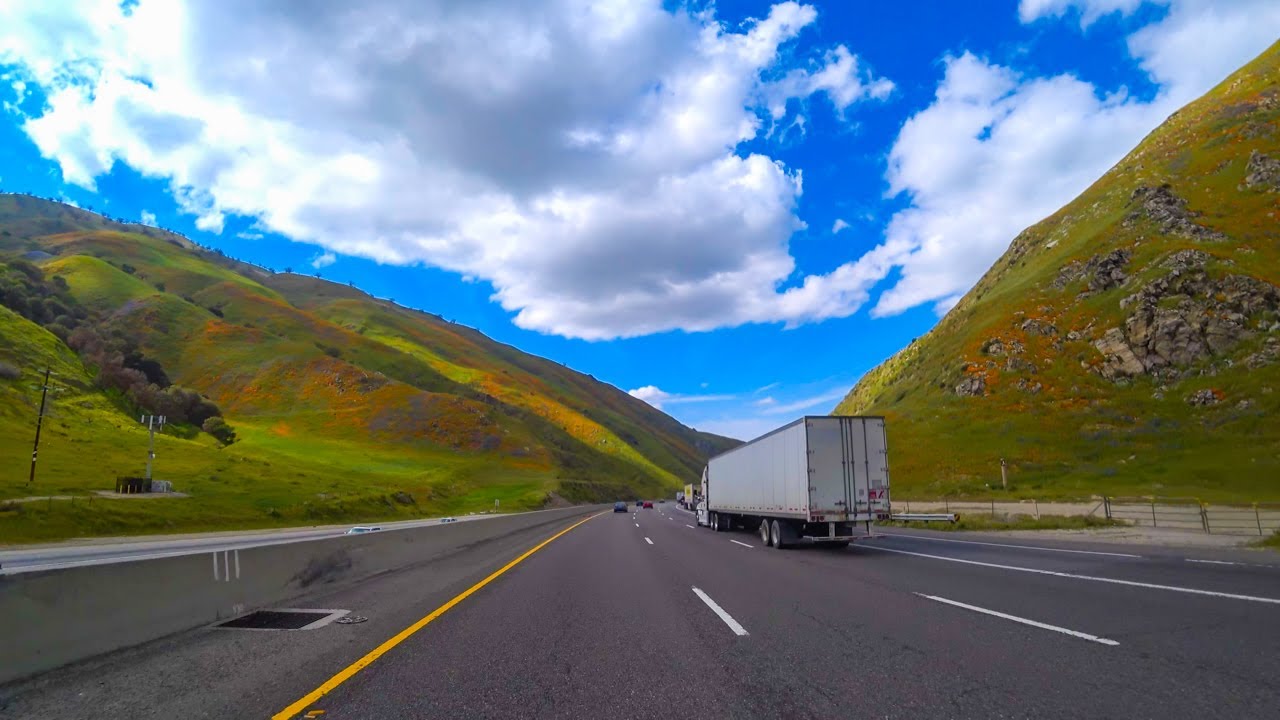 Superbloom: Grapevine (Tejon Pass) scenic drive 4k - YouTube