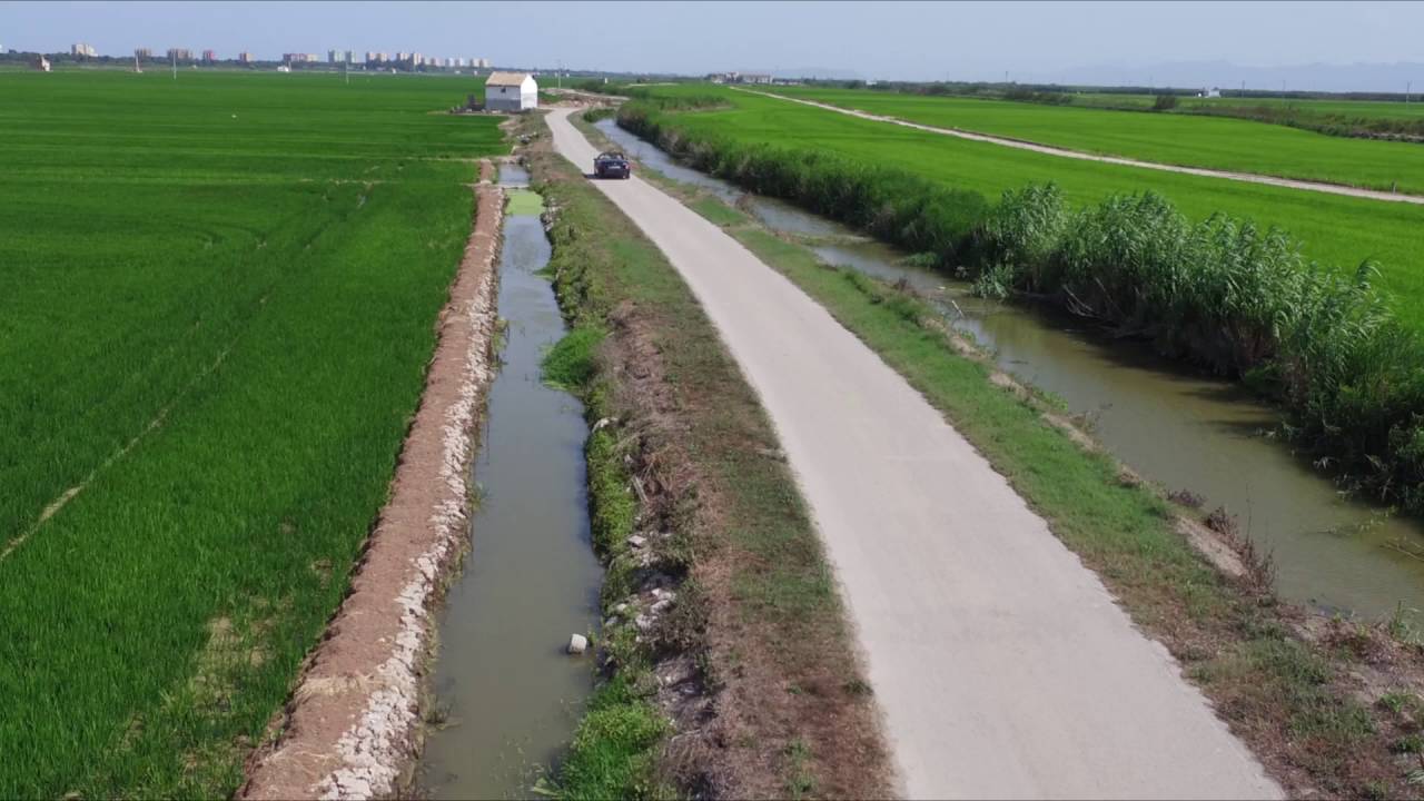 Riceman 2º Teaser - YouTube