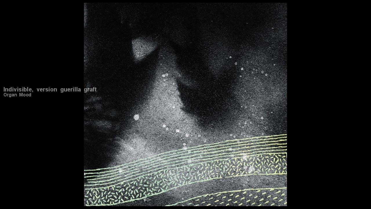 Organ Mood - Indivisible, version guerilla graft - YouTube