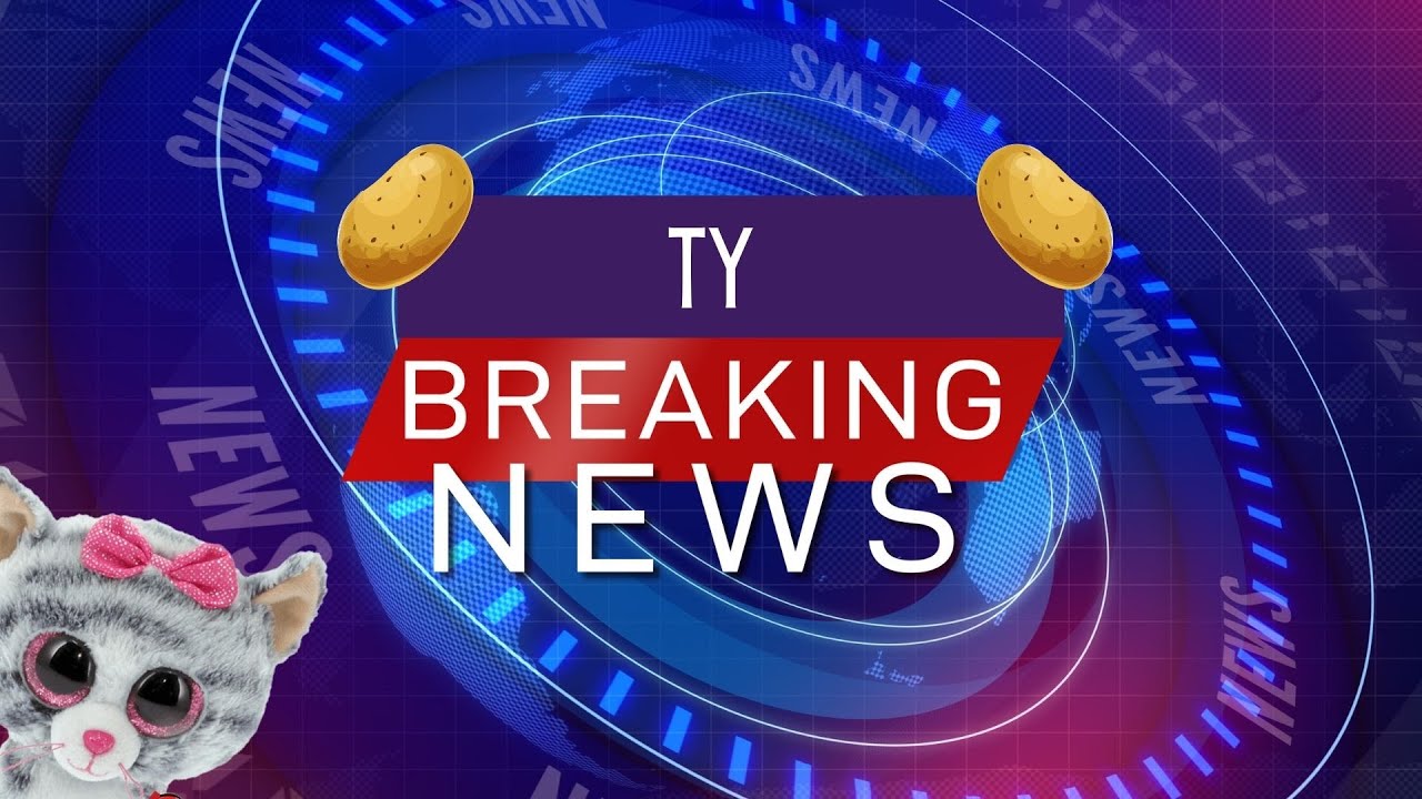 TY BREAKING NEWS!!! ( Potato Robber! ) - YouTube