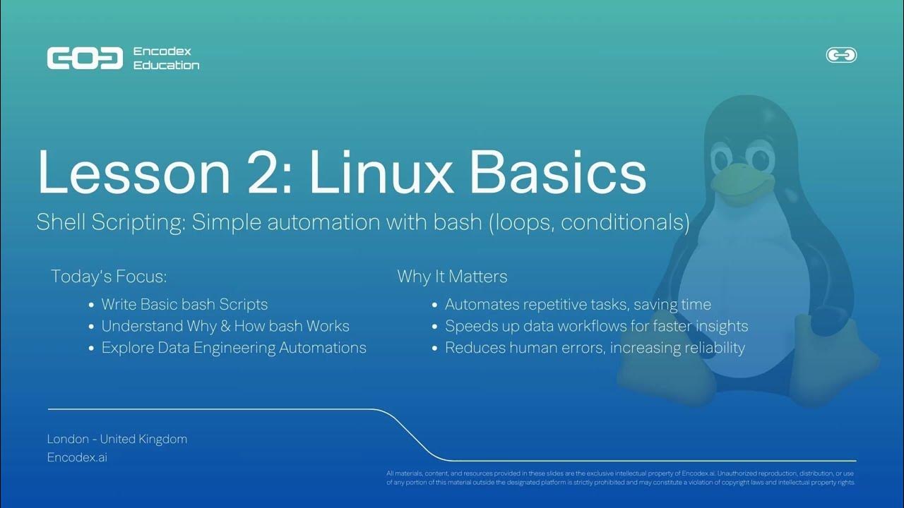 Master Linux Basics: Bash Scripting with Loops & Conditionals - YouTube