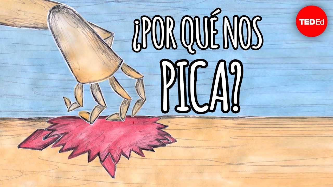 ¿Por qué nos pica? - Emma Bryce - YouTube