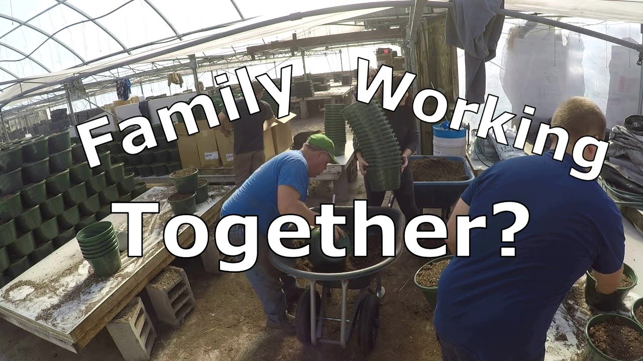 Family farm in full production (vlog #22) - YouTube