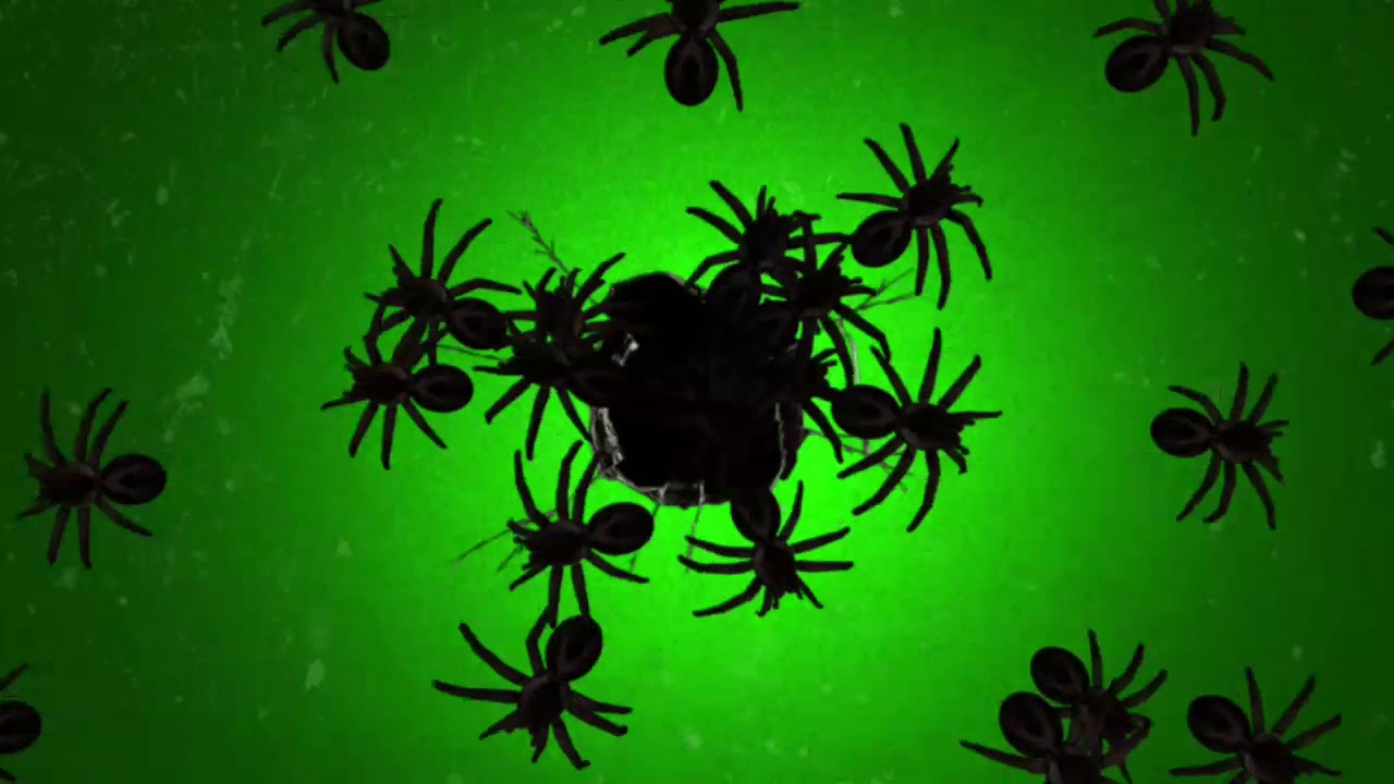 Green screen spider whole effec // chroma key spider whole effect ...