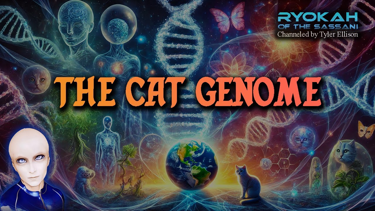 The Cat Genome | RYOKAH of the Sassani - YouTube