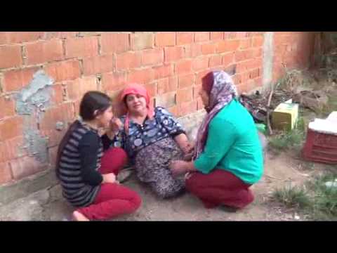 NAZİLLİ'DE 6 GEBE İNEK TELEF OLDU