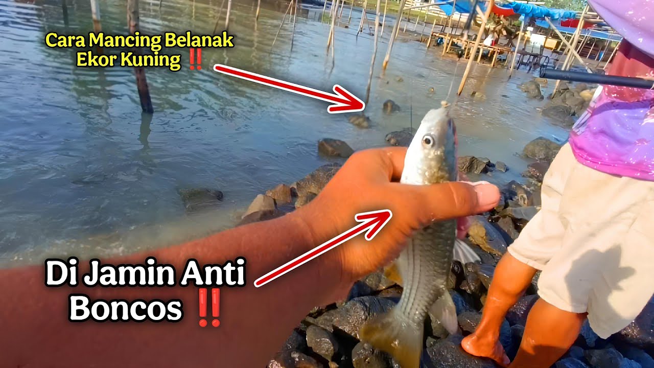 TONTON SAMPAI HABIS..!!! Cara Mancing Belanak Di Laut Di Jamin Anti Boncos‼️ - YouTube