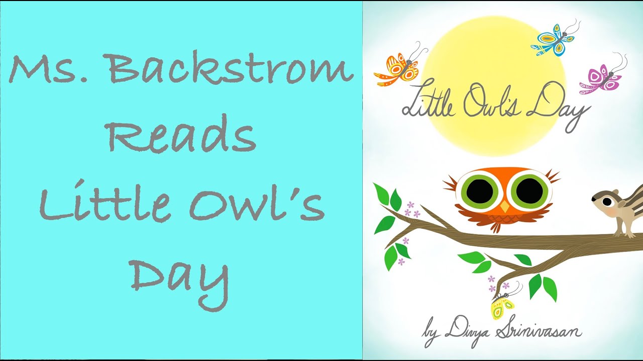 Little Owl's Day Read Aloud - YouTube