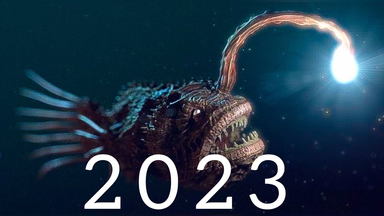 Evolution of Anglerfish - YouTube