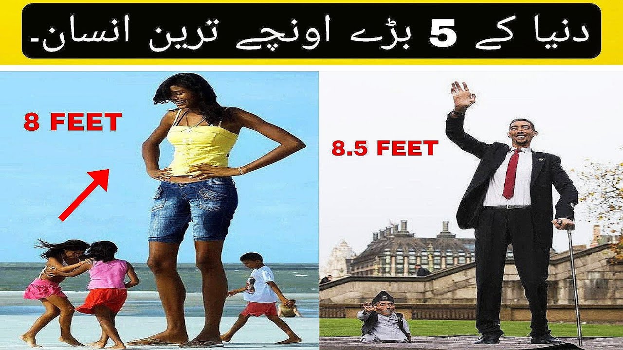 Top 5 Tallest Peoples In The World || Giant Human Beings || Sultan ...