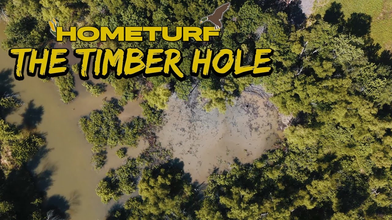 Creating a FLOODED TIMBER DUCK HOLE in the Creek Bottom! | #HOMETURF ...