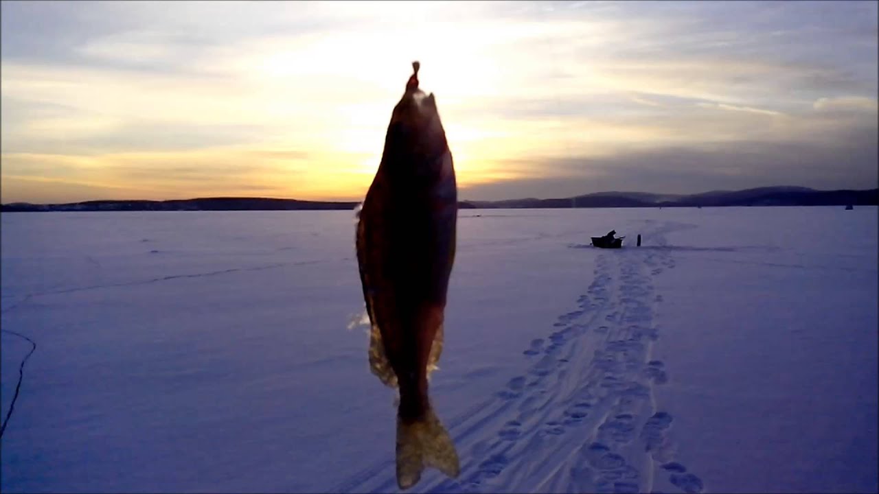 как поймать рыбу зимой,рыбалка на оз Исетском - YouTube