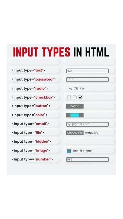 Input Types In Html 👨‍💻 Input Html Htmlcoding Youtube 