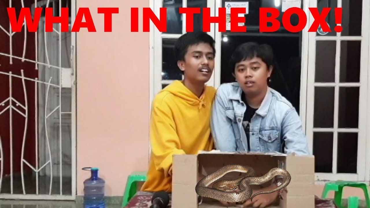 WHAT IN THE BOX! NGAKAK PARAH! - YouTube