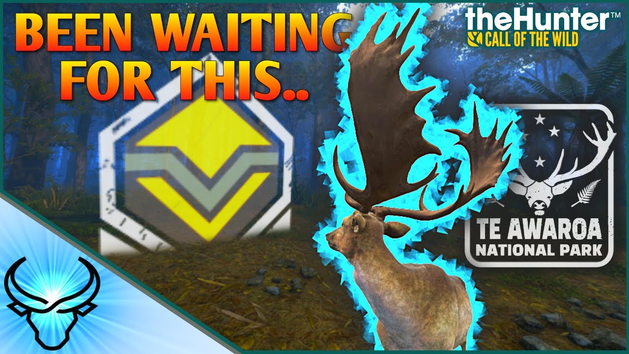 IT FINALLY HAPPENED.. Monster Diamond Fallow Deer in Te Awaroa National ...