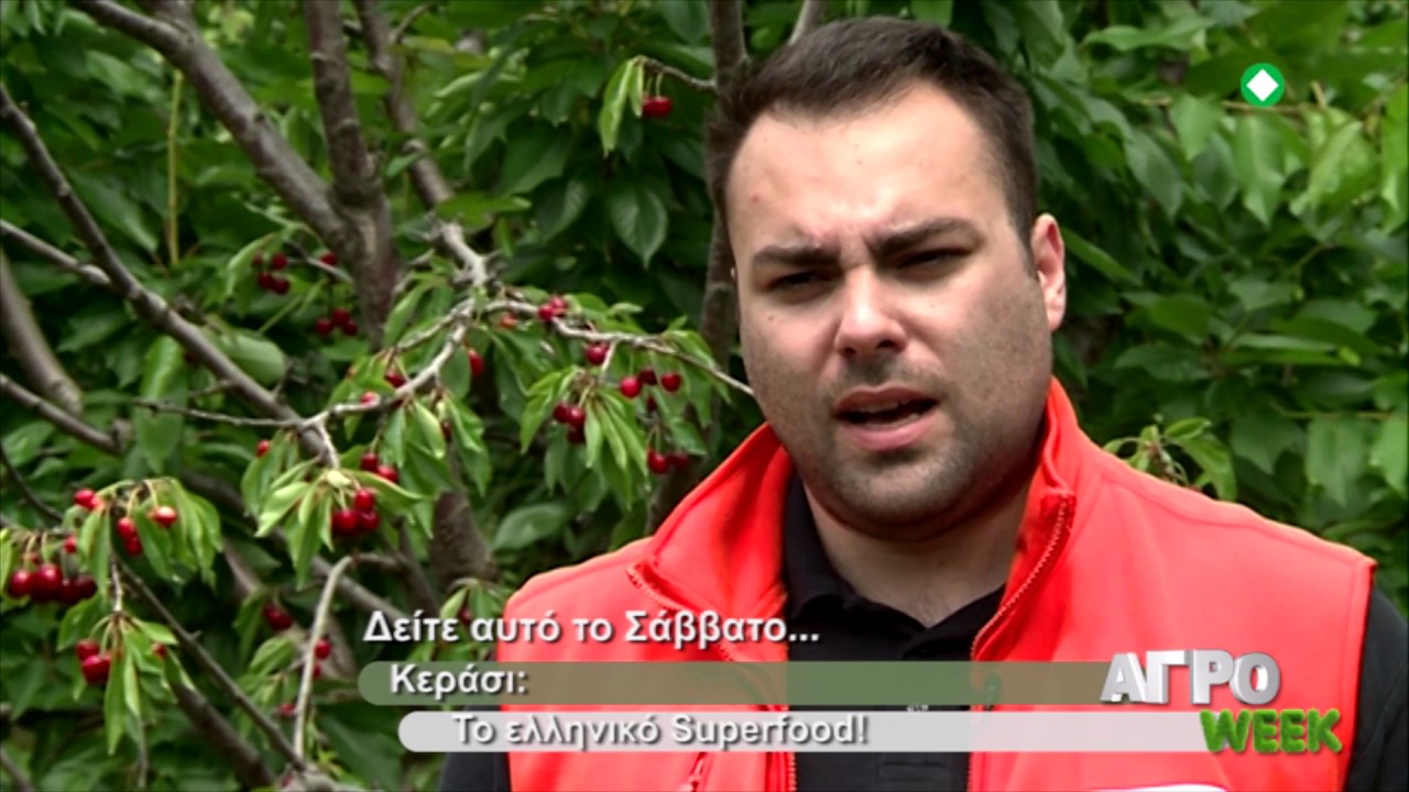ΕΡΤ3 - "ΑΓΡΟweek" Κεράσι: το ελληνικό Superfood (trailer) - YouTube